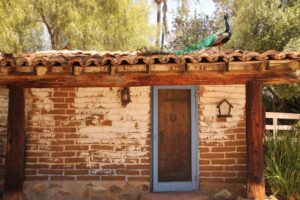 44 BEST Kid-Friendly Adventures In San Diego | Hidden San Diego