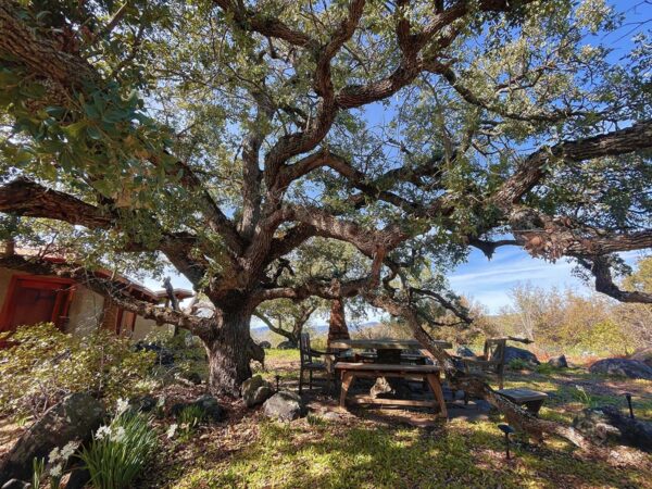 Ilan-Lael Foundation | Hidden San Diego