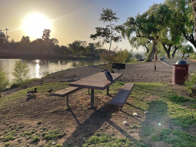 Lindo Lake | Hidden San Diego