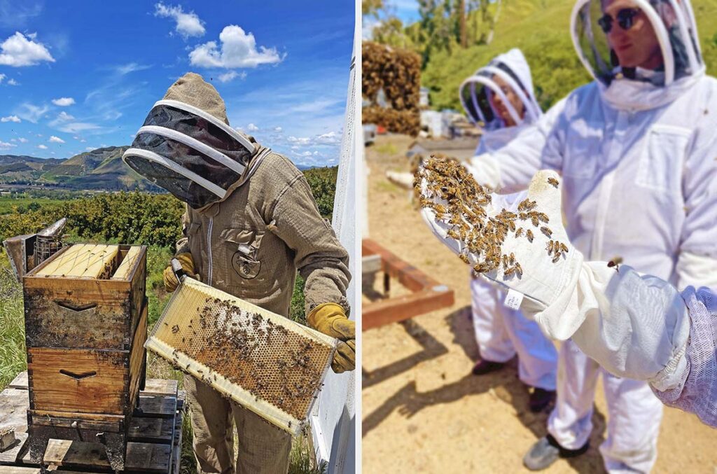 Bee Leaf USA Sanctuary | Hidden San Diego