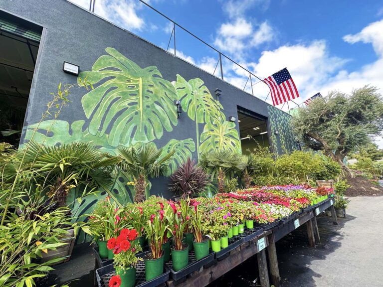 Terra Bella Nursery | Hidden San Diego