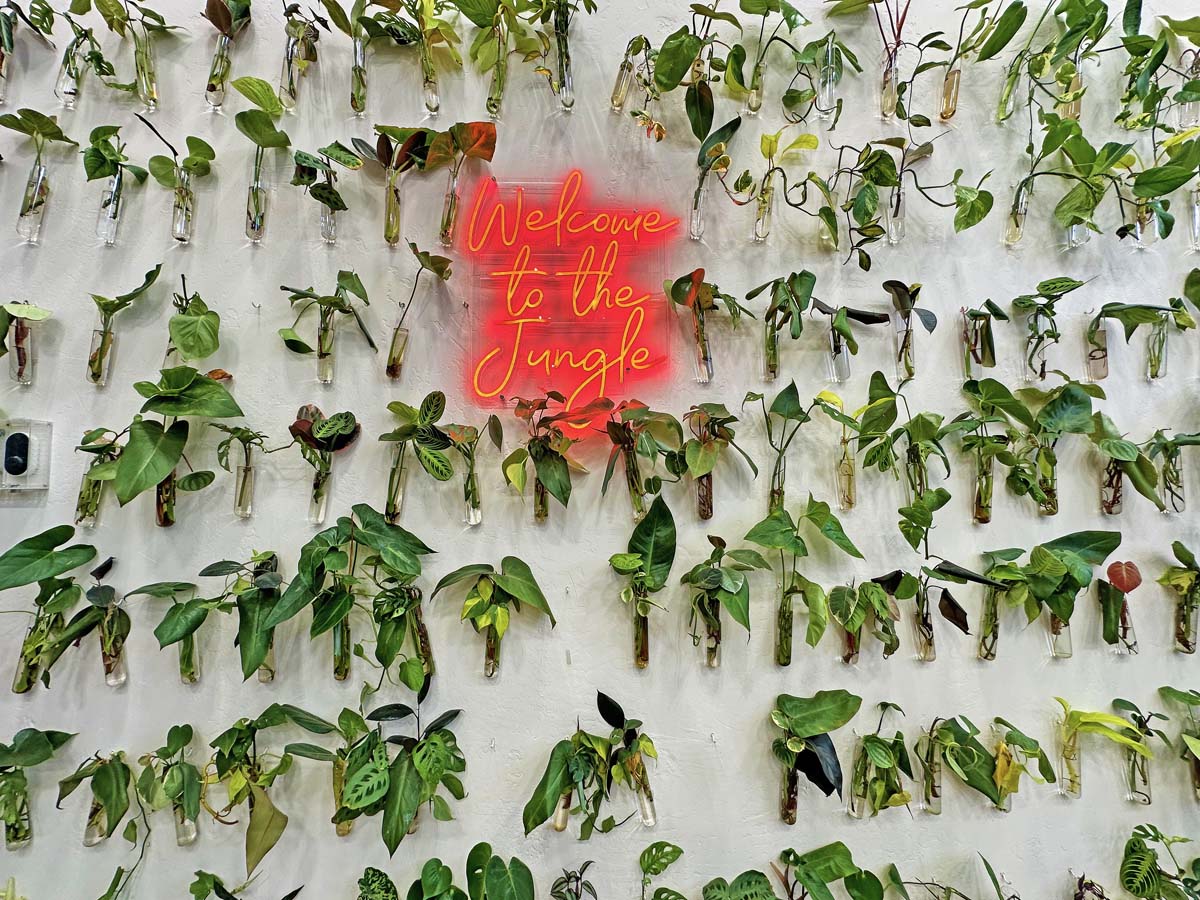 Terra Bella Nursery | Hidden San Diego