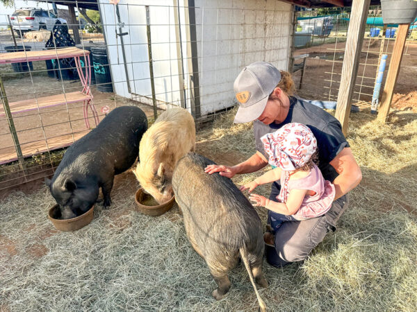 Robin's Nest Ranch Retreat | Hidden San Diego