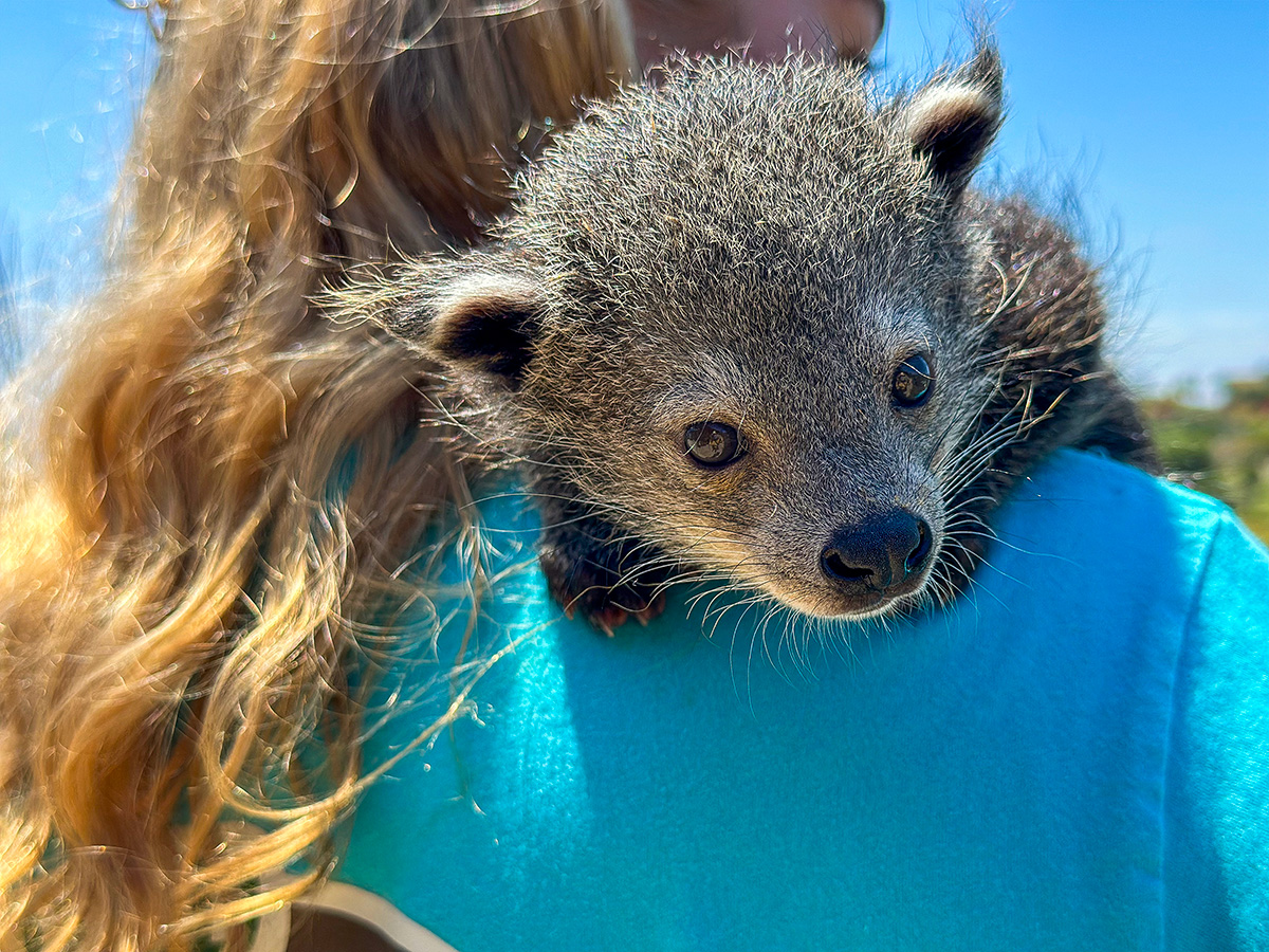 12 Unique Animal Encounters In San Diego | Hidden San Diego