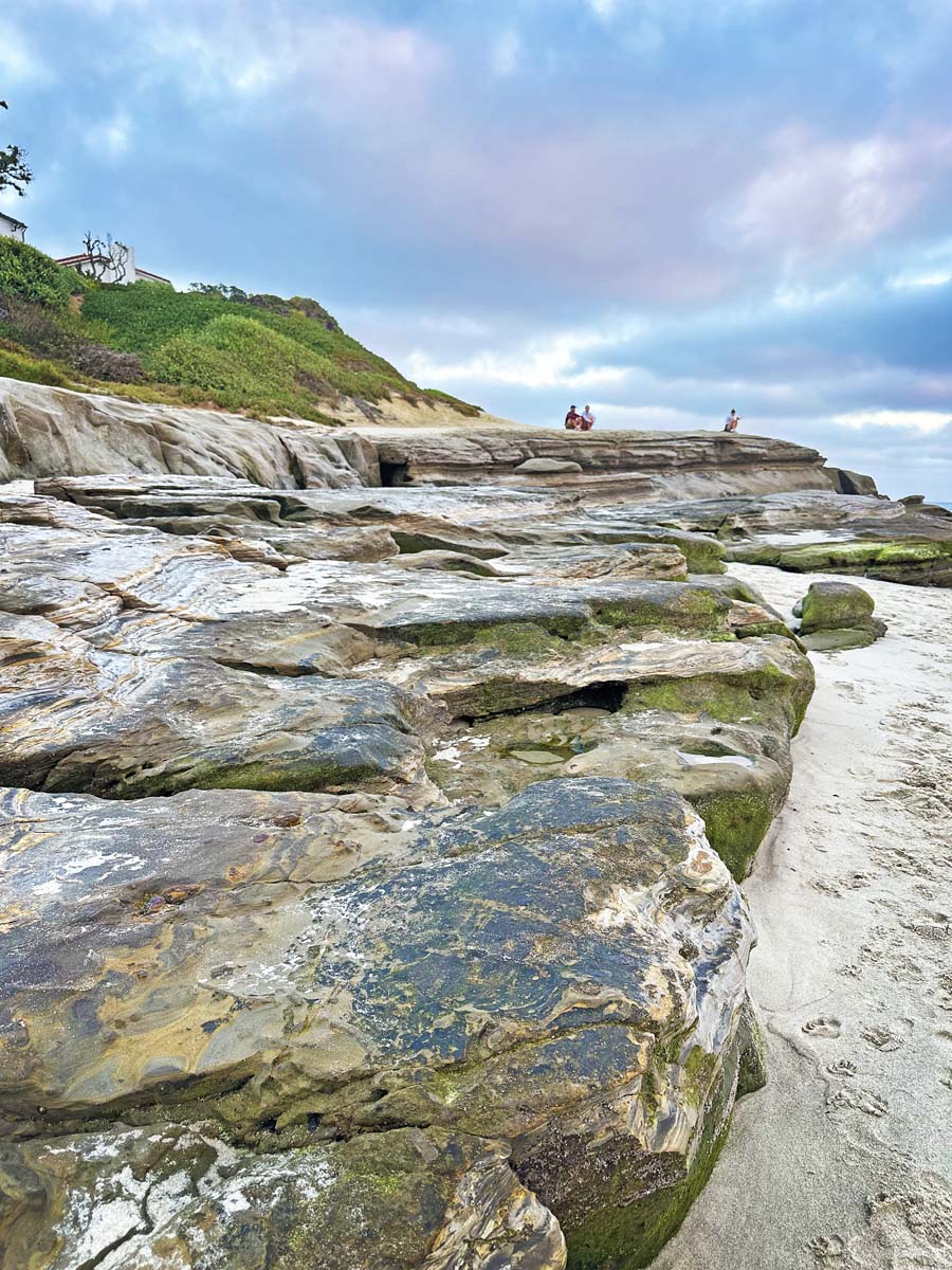 Visit Every Beach In La Jolla | Hidden San Diego