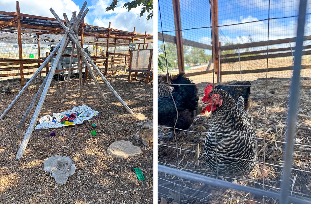 Coastal Roots Farm | Hidden San Diego