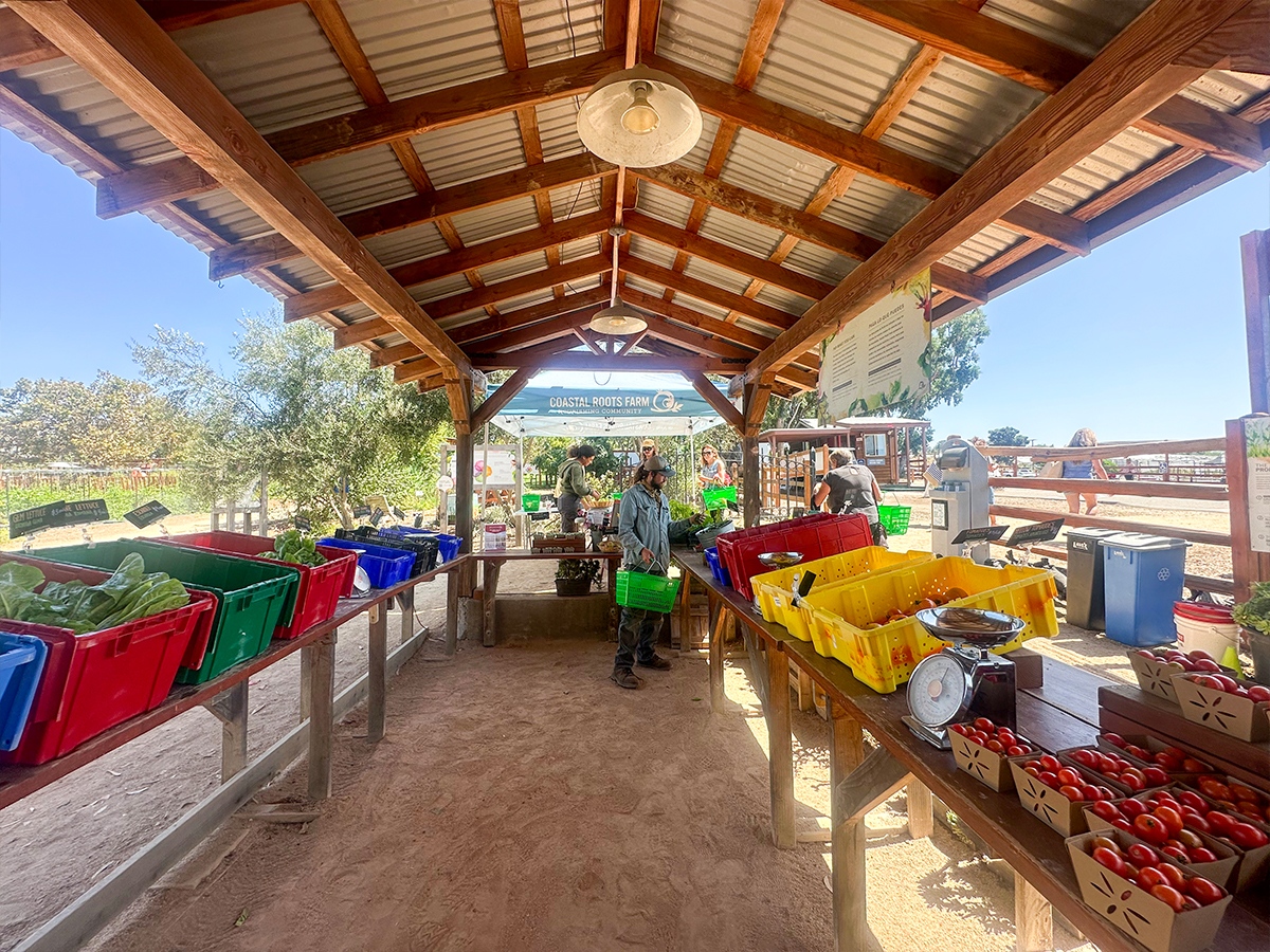 Coastal Roots Farm | Hidden San Diego