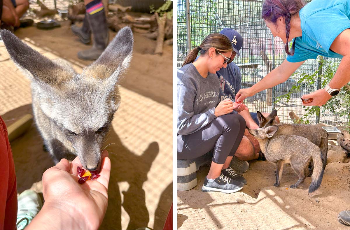 Nurtured By Nature Animal Sanctuary | Hidden San Diego