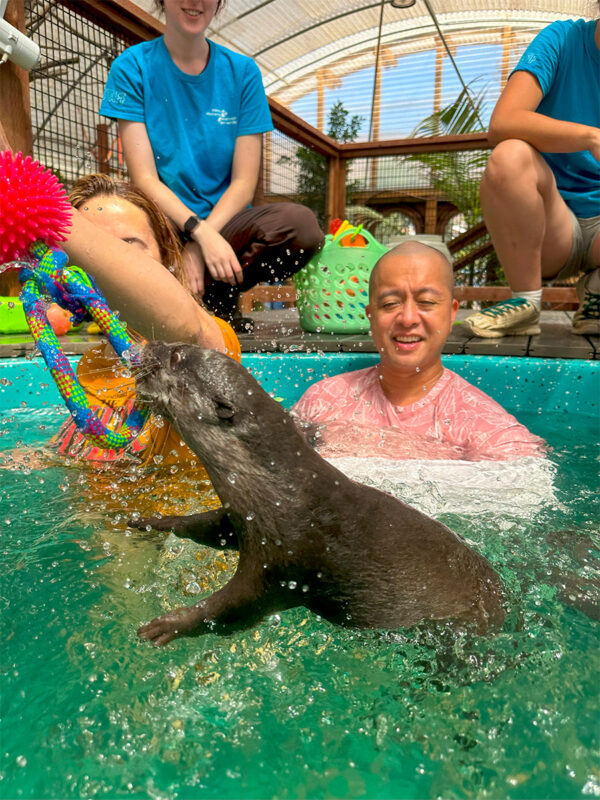 Nurtured By Nature Animal Sanctuary | Hidden San Diego