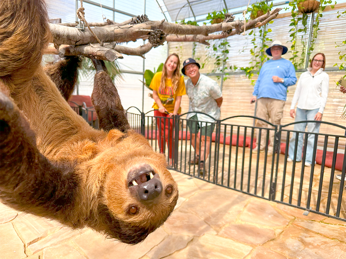 Nurtured By Nature Animal Sanctuary | Hidden San Diego