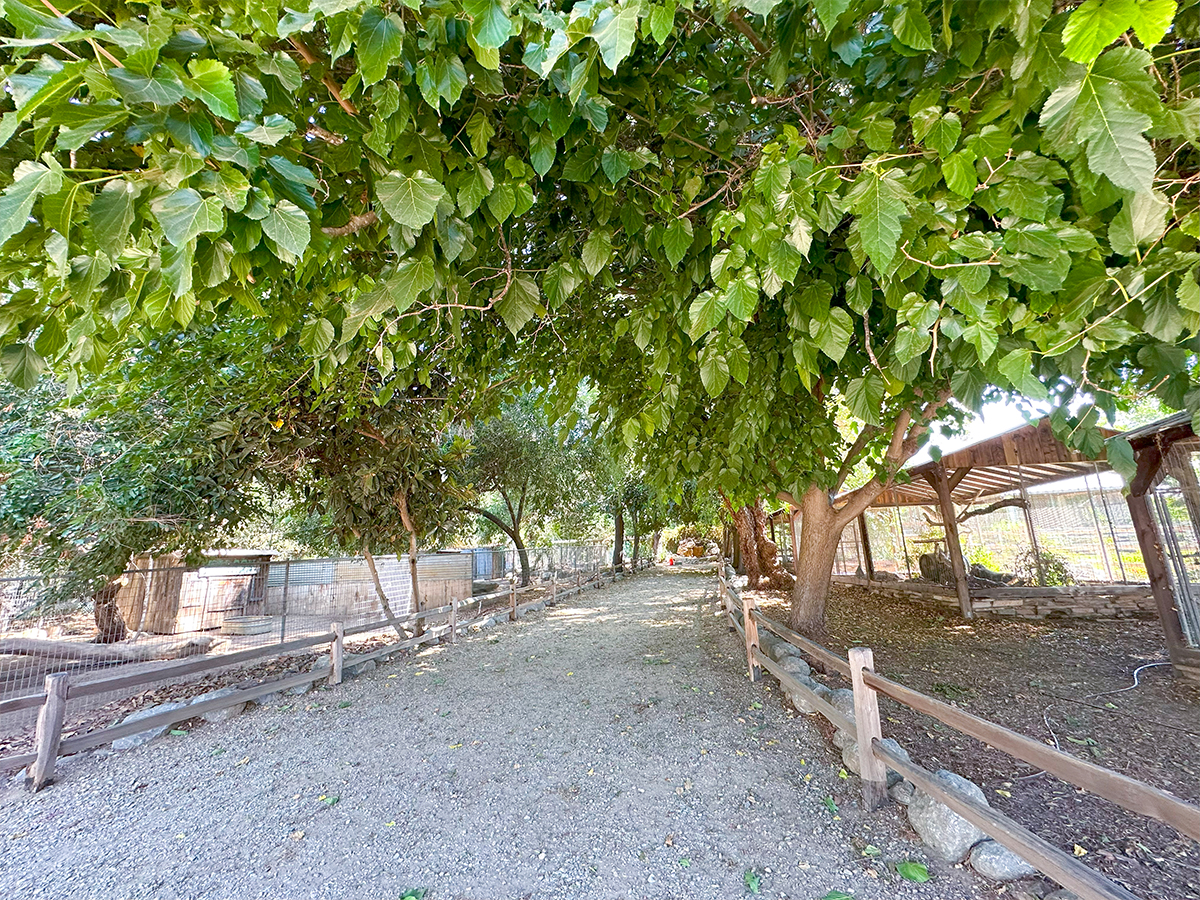 Nurtured By Nature Animal Sanctuary | Hidden San Diego