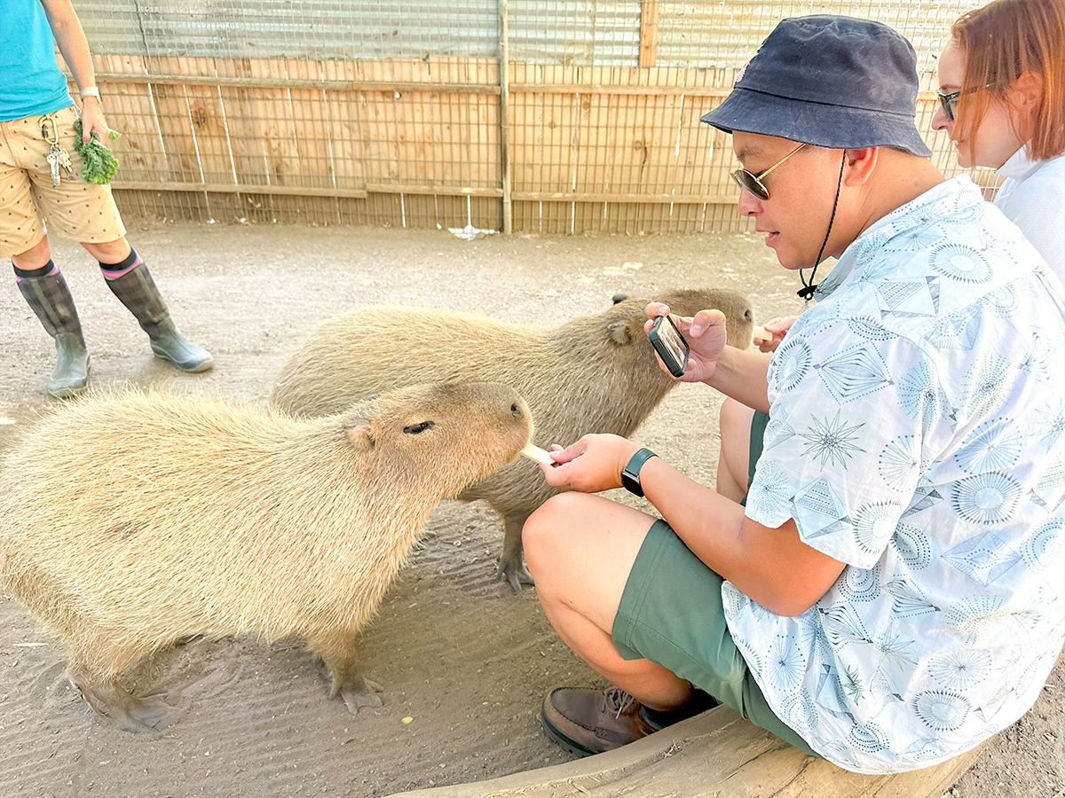 Nurtured By Nature Animal Sanctuary | Hidden San Diego