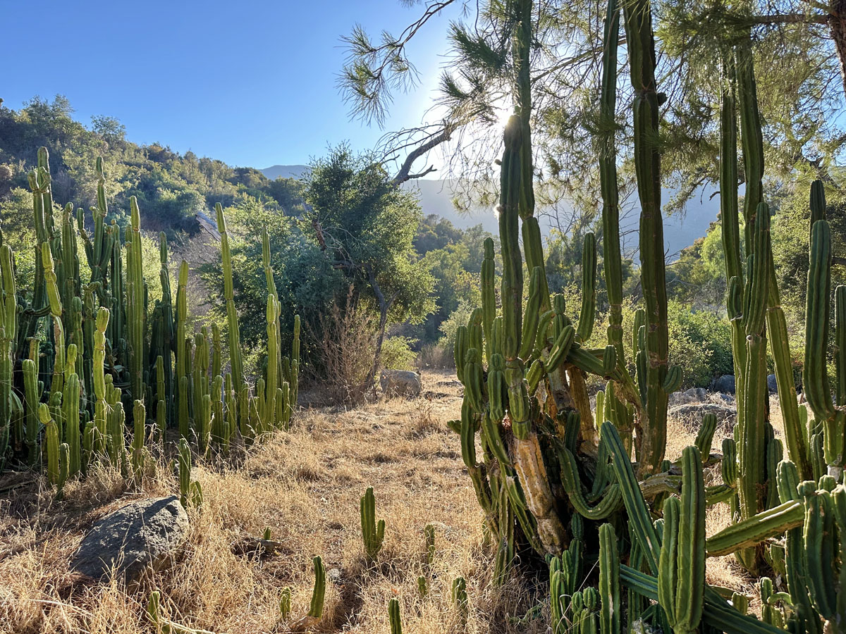 Wilderness Gardens County Preserve | Hidden San Diego