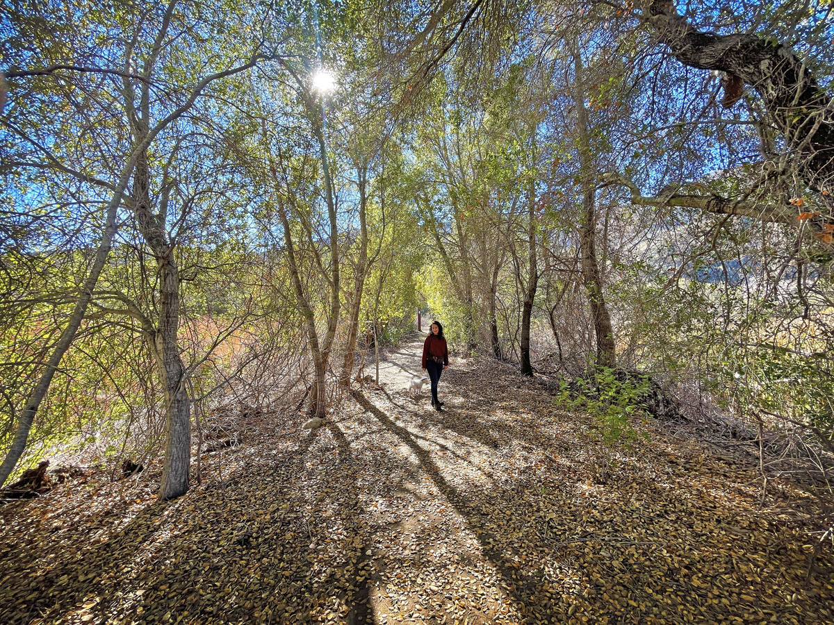 Wilderness Gardens County Preserve | Hidden San Diego