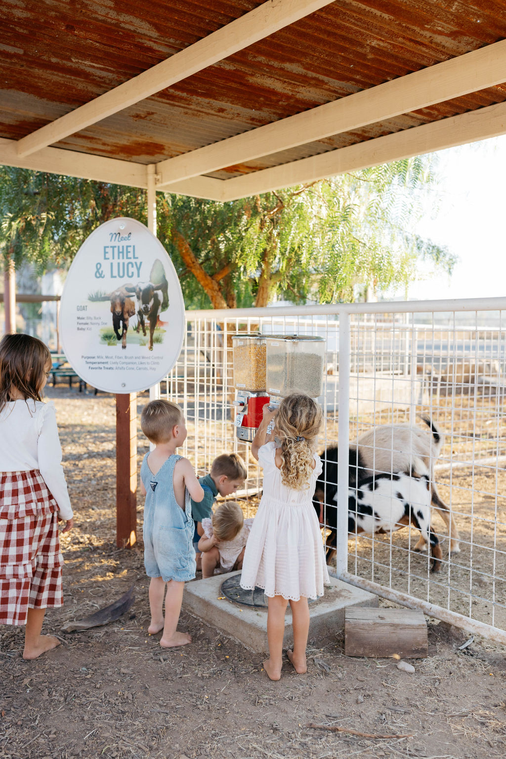Happy Hens Farm | Hidden San Diego