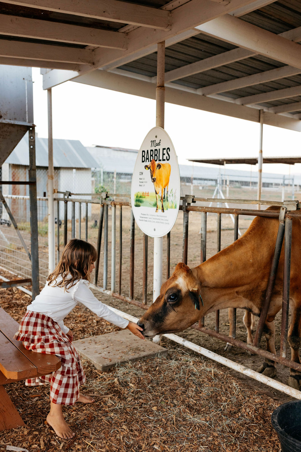 Happy Hens Farm | Hidden San Diego