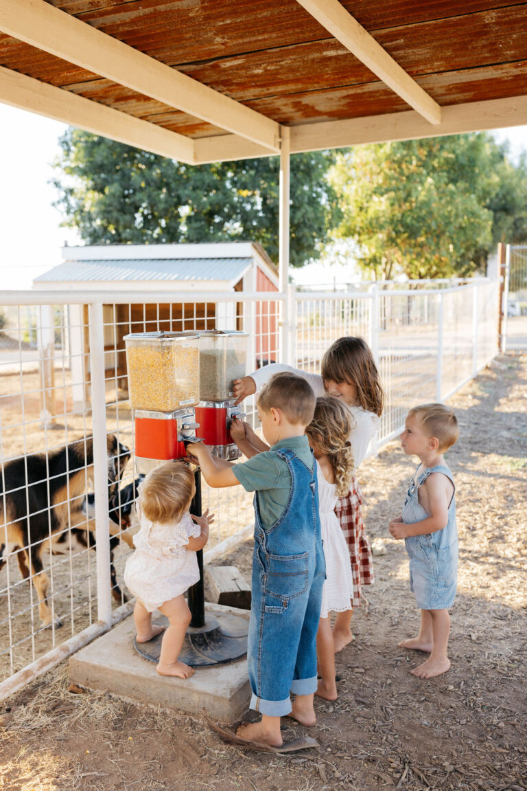 Happy Hens Farm | Hidden San Diego