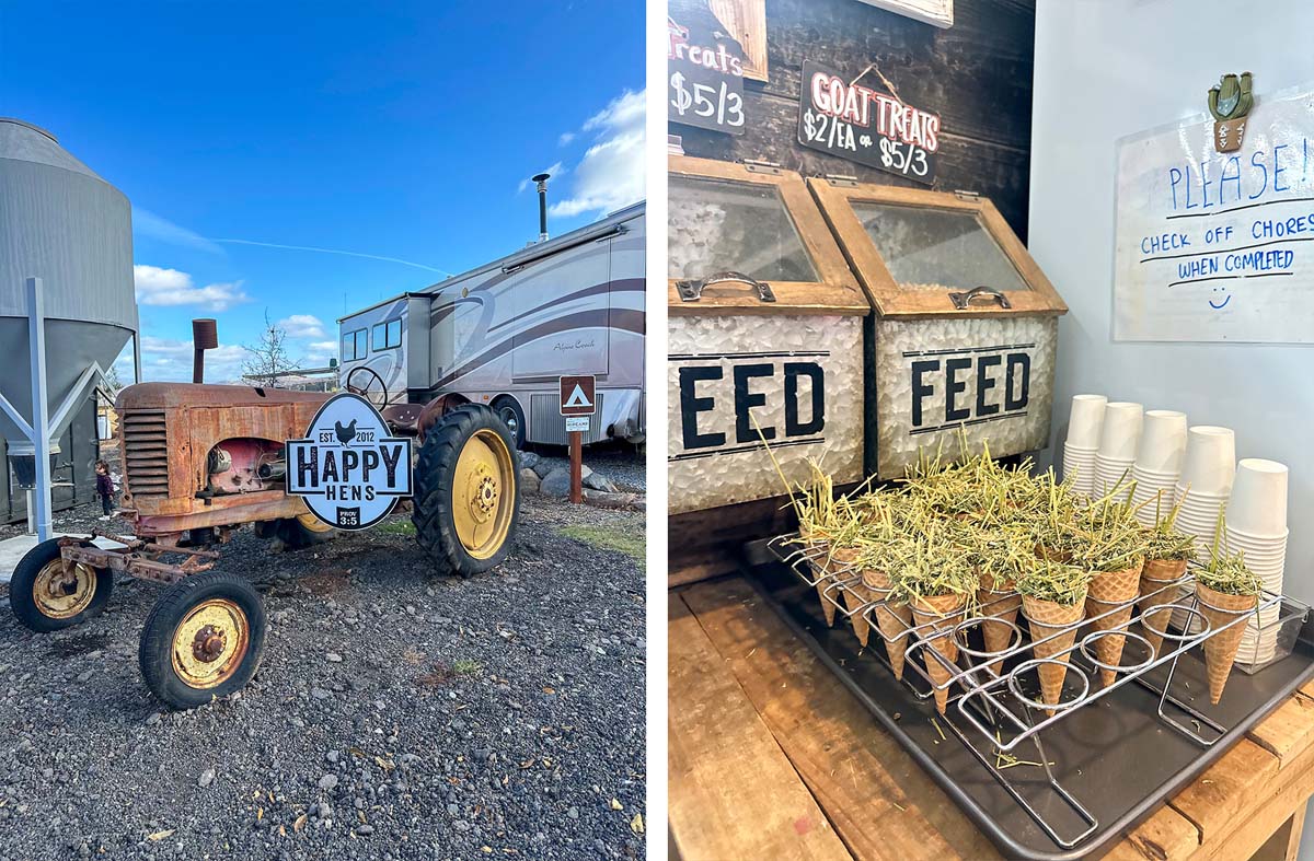 Happy Hens Farm | Hidden San Diego