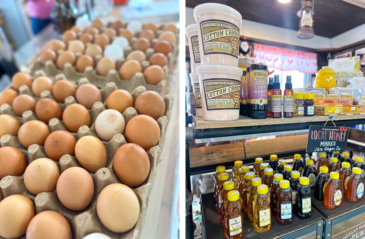 Happy Hens Farm | Hidden San Diego