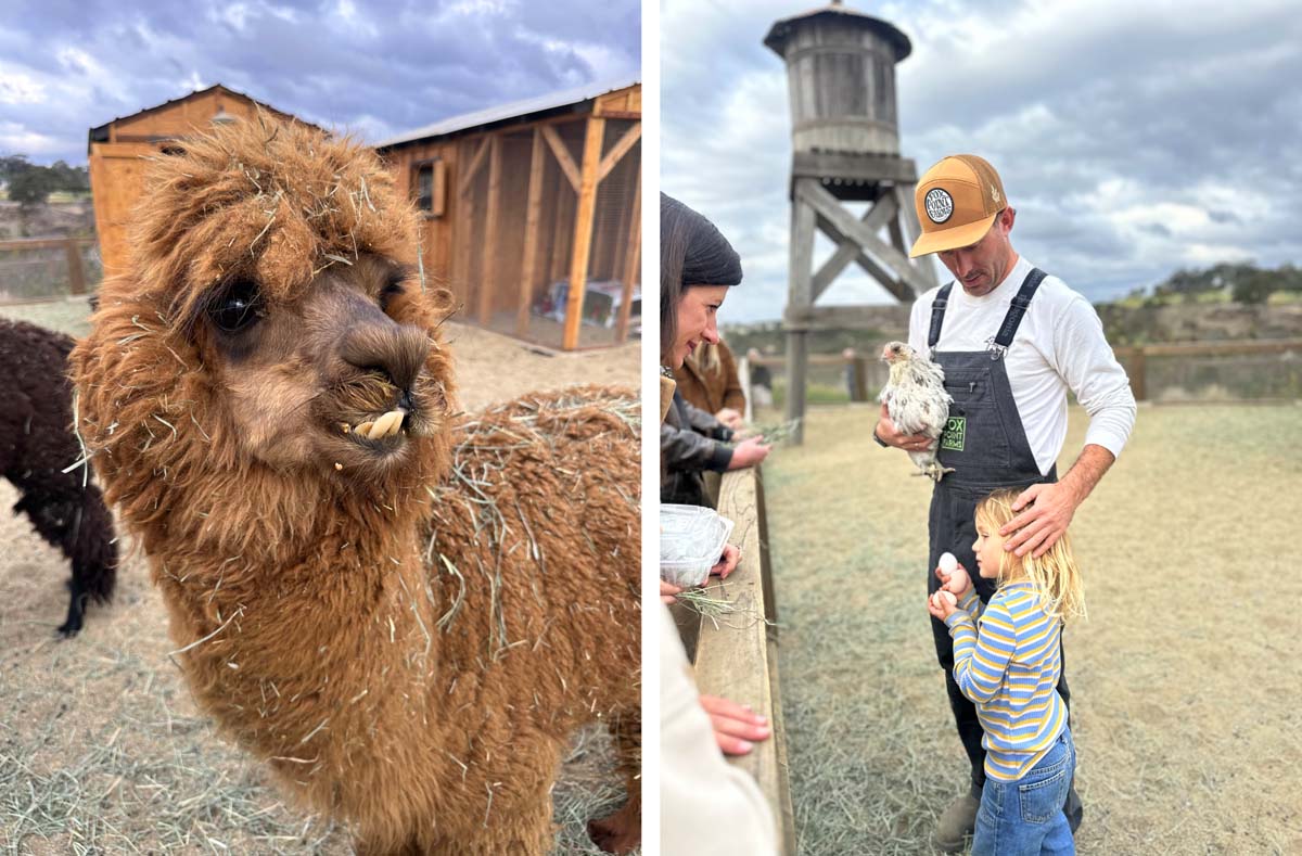 Fox Point Farms | Hidden San Diego