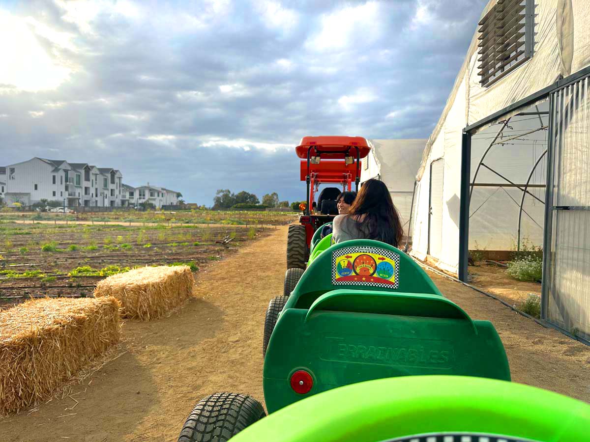 Fox Point Farms | Hidden San Diego