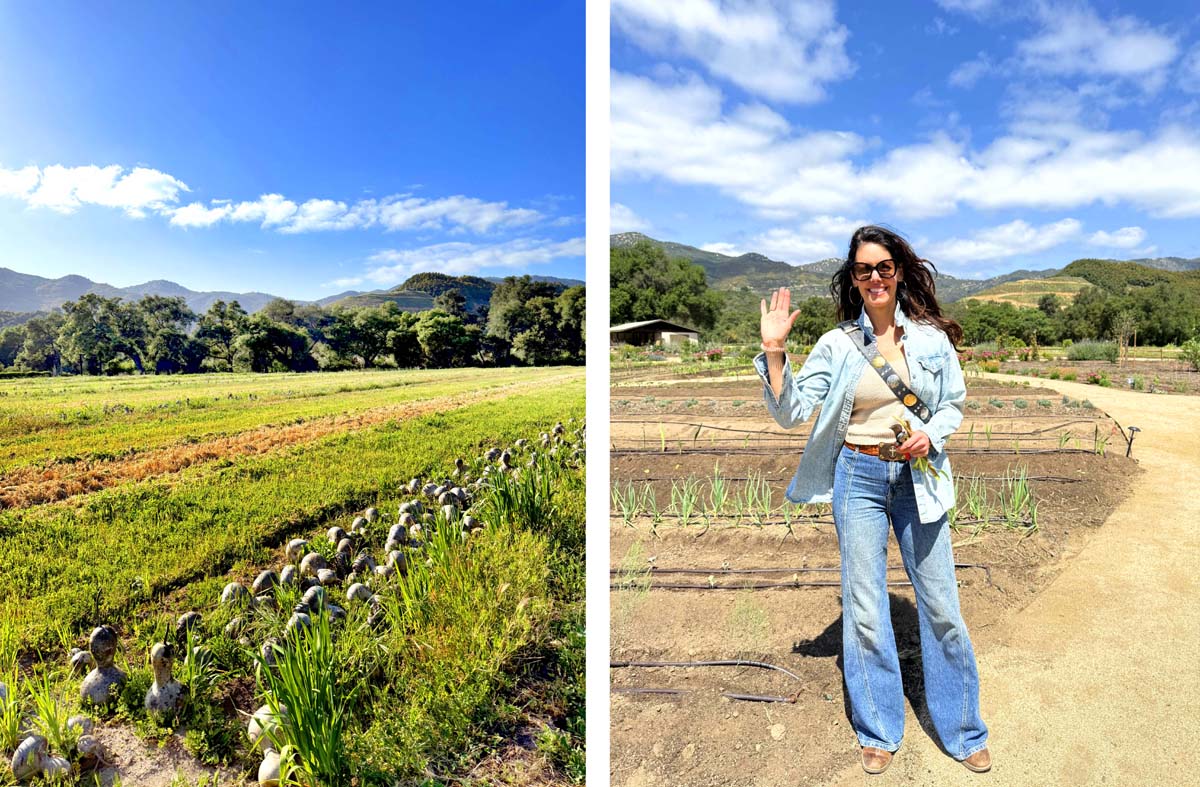 Wellburn Gourd Farm | Hidden San Diego