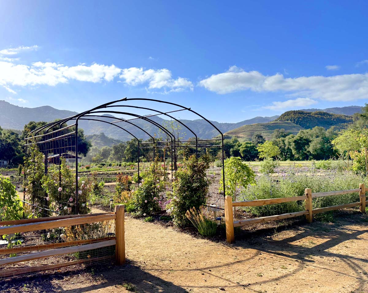Wellburn Gourd Farm | Hidden San Diego