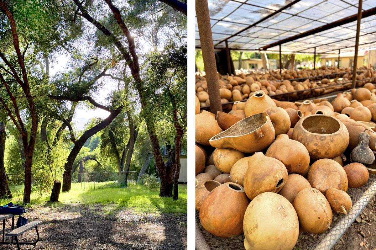 Wellburn Gourd Farm | Hidden San Diego