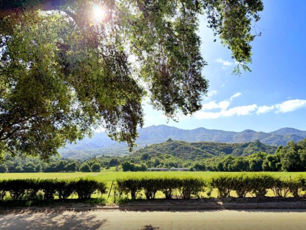 Wellburn Gourd Farm | Hidden San Diego