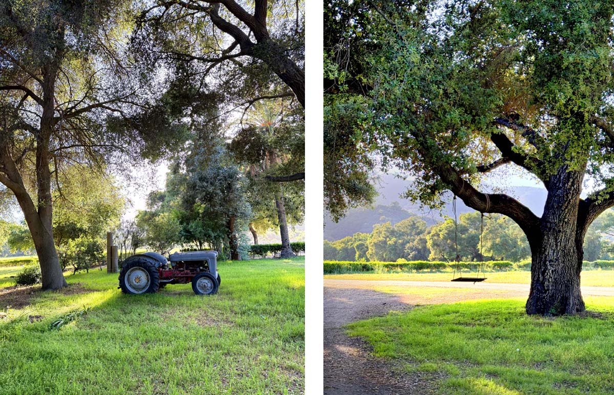 Wellburn Gourd Farm | Hidden San Diego