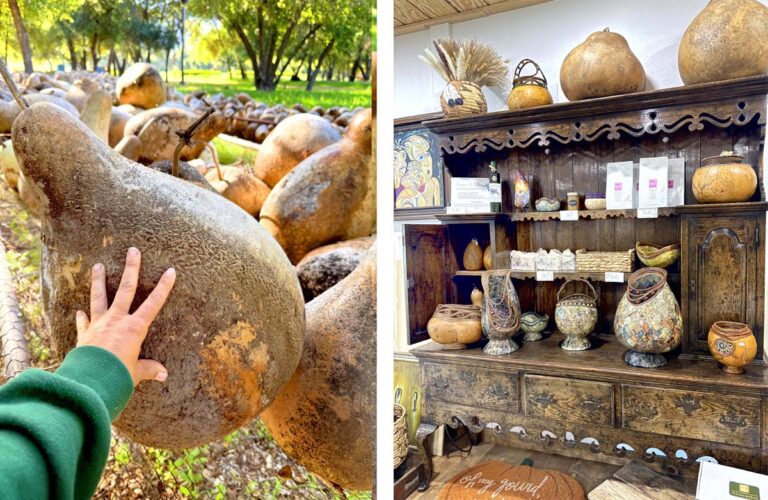 Wellburn Gourd Farm | Hidden San Diego