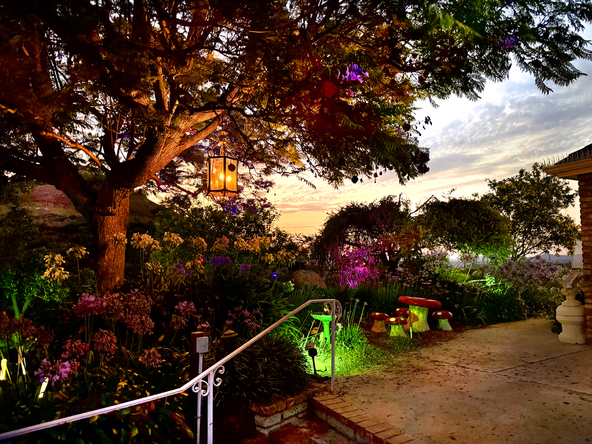 Firefly Grove | Hidden San Diego