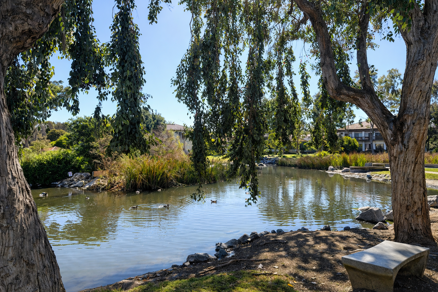 Webb Park | Hidden San Diego
